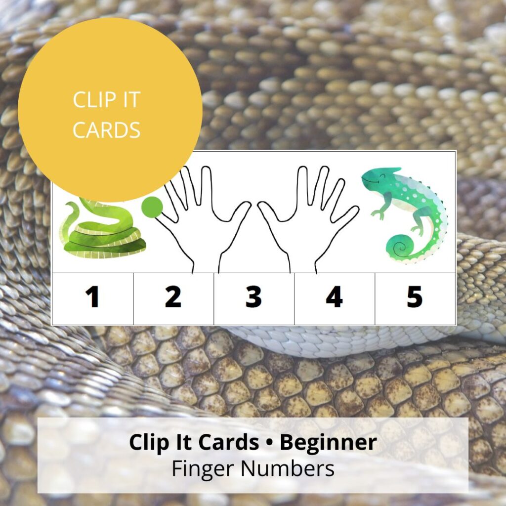 Free Music Resources • Pianosaurus Rex • Pianosaurus Rex